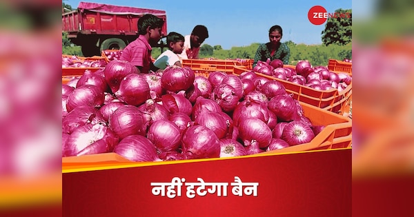 government said onion export ban to continue till 31 march 2024 | Onion Export: अचानक 40% महंगा ...