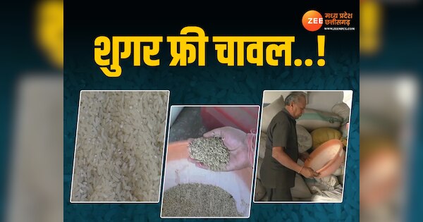 Janjgir Champa News: विशेष धान से किसान ने बनाई पहचान, जानें क्या शुगर ...