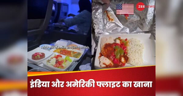 Viral Video: Foreigner compare food serving between India and America ...