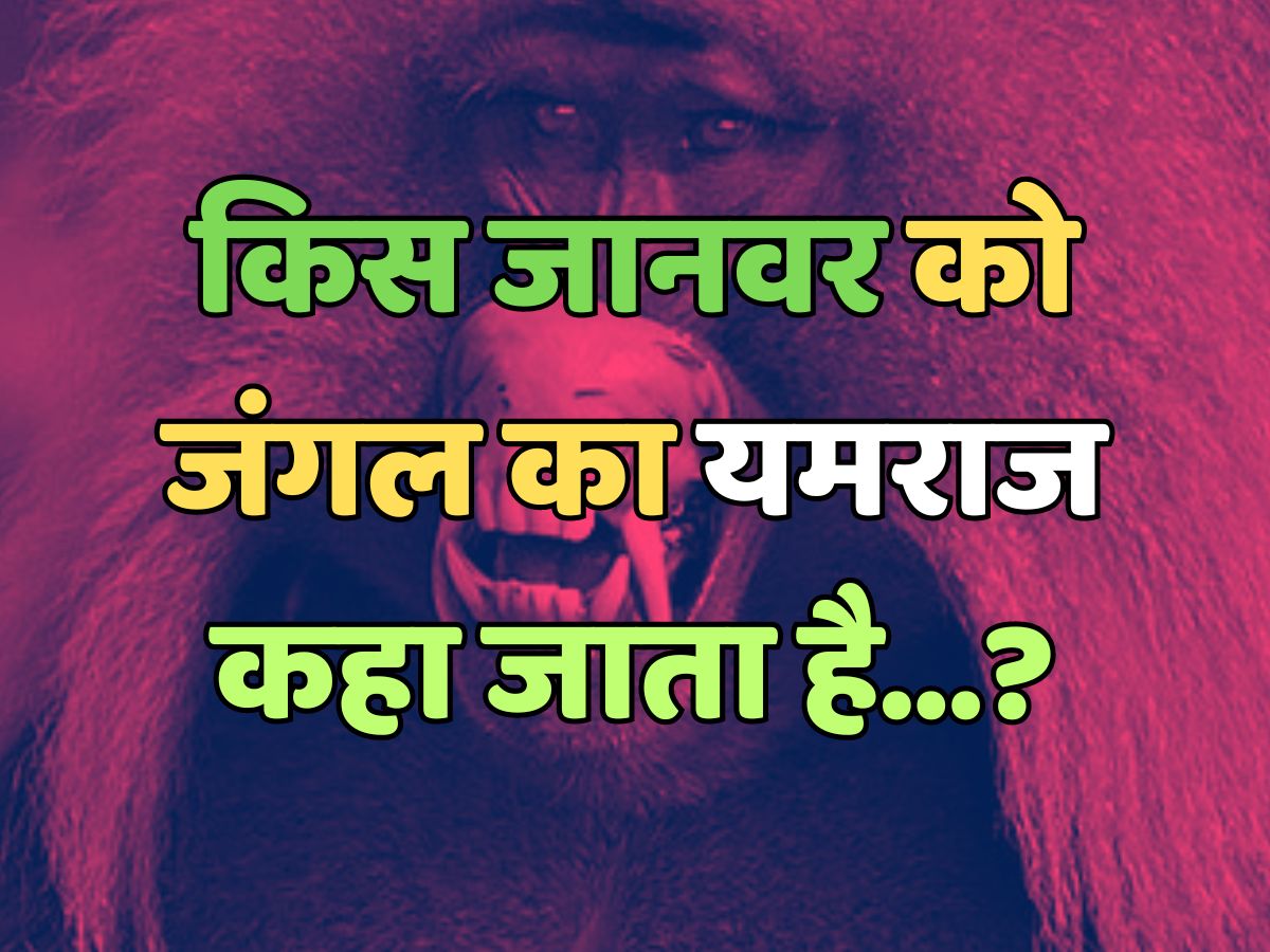 Trending Quiz : किस जानवर को जंगल का यमराज कहा जाता है? | Trending Quiz ...