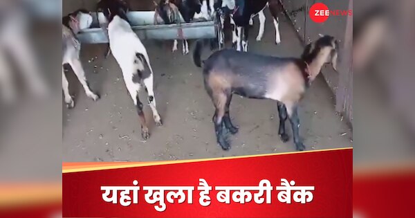 what is goat bank odisha couple pm narendra modi praises mann ki baat ...