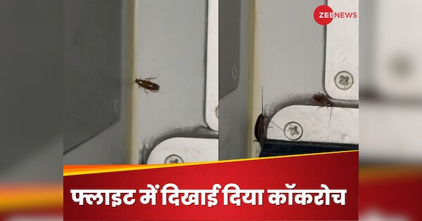 IndiGo flight: Passenger found cockroach near food area video viral | IndiGo फ्लाइट में पैसेंजर ...
