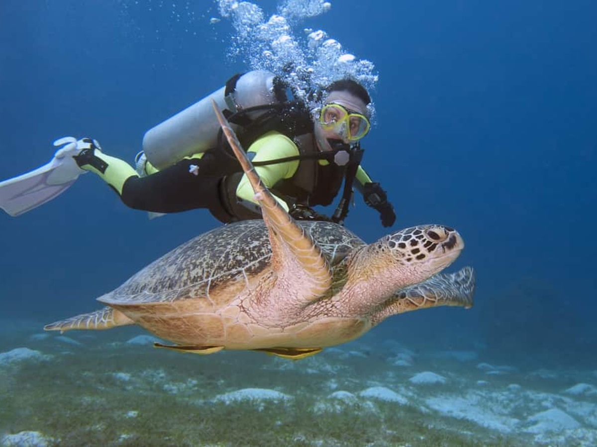 best Scuba Diving destination in india pm modi enjoys diving in gujarat ...