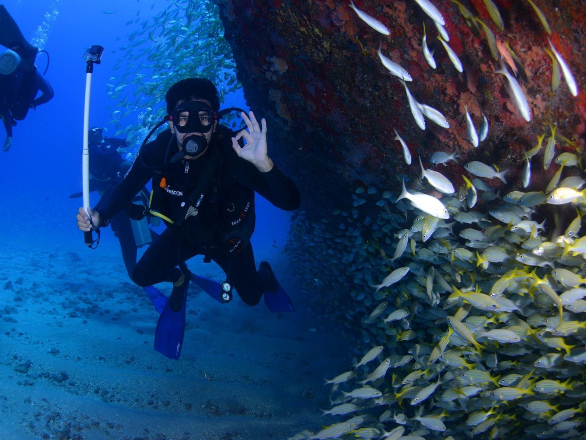 best Scuba Diving destination in india pm modi enjoys diving in gujarat ...