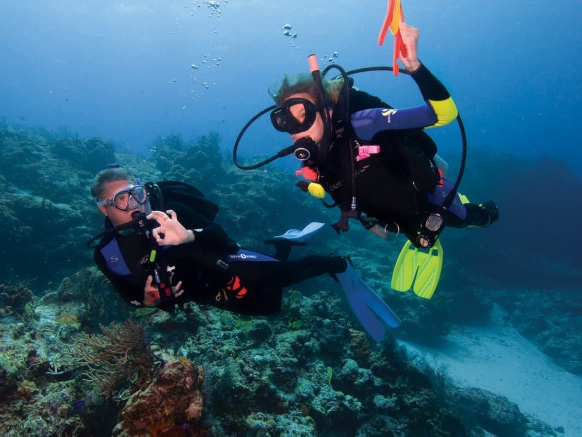 best Scuba Diving destination in india pm modi enjoys diving in gujarat ...
