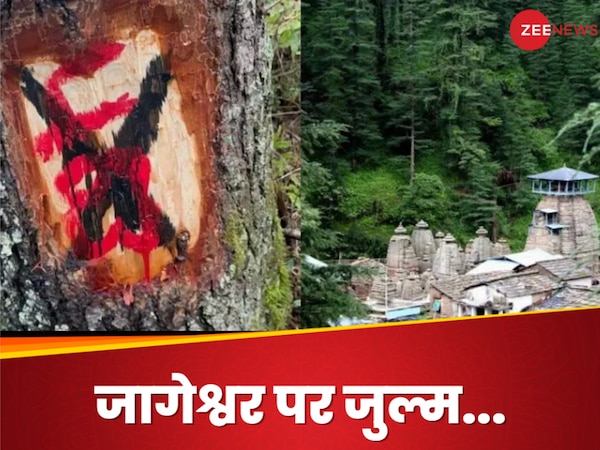 Uttarakhand Locals Protest Tree Felling for Proposed Road Widening ...