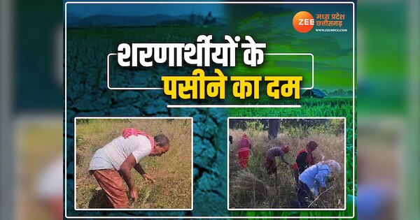 Positive Story: भारत में मिली शरण तो बंजर जमीन को पसीने से सींच बनाया ...