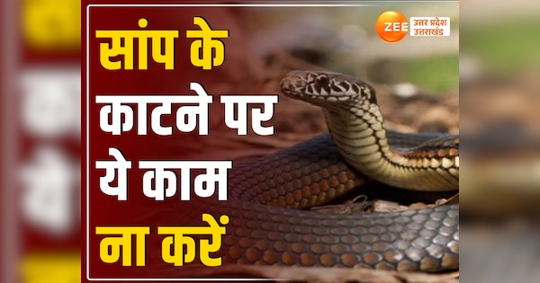 Saanp ke katne par na karen ye galti Snake Bite Do and Dont first aid ...