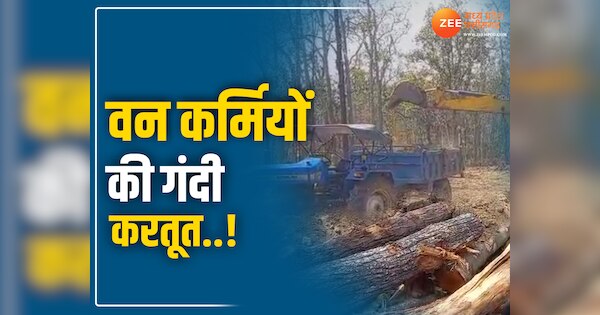 Dhamtari News: धमतरी में वन कर्मियों की गंदी करतूत! पहले काटे पेड़ फिर ...