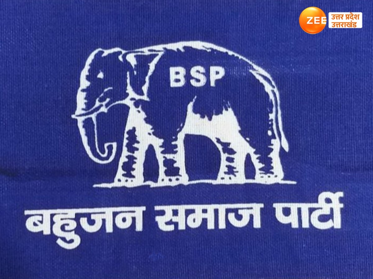 BSP symbol interesting story election symbol was bird how became hathi ...
