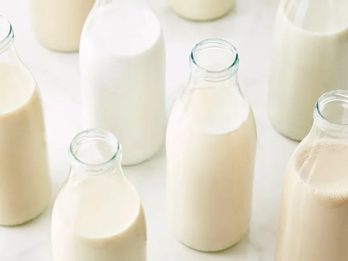 Worms found in milk packets of famous company probe initiated | Worms ...