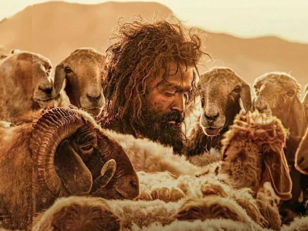 Aadujeevitham Film News: ਸੱਚੀ ਕਹਾਣੀ ਦੇ ਆਧਾਰਿਤ ਹੈ The Goat Life ...