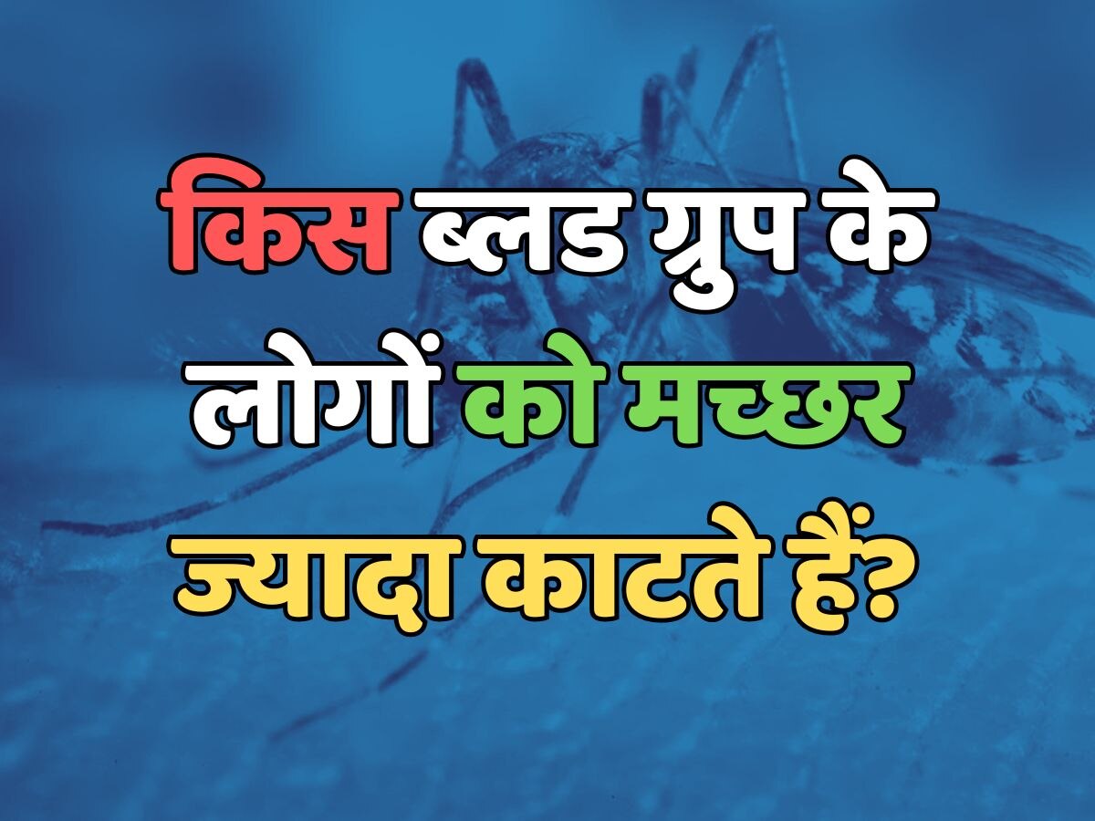Trending Quiz किस ब्लड ग्रुप के लोगों को मच्छर ज्यादा काटते हैं