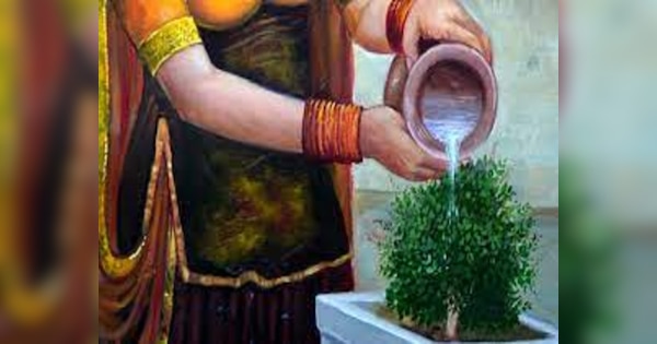 rules of unmarried girl why girls should not give water to tulsi who do ...