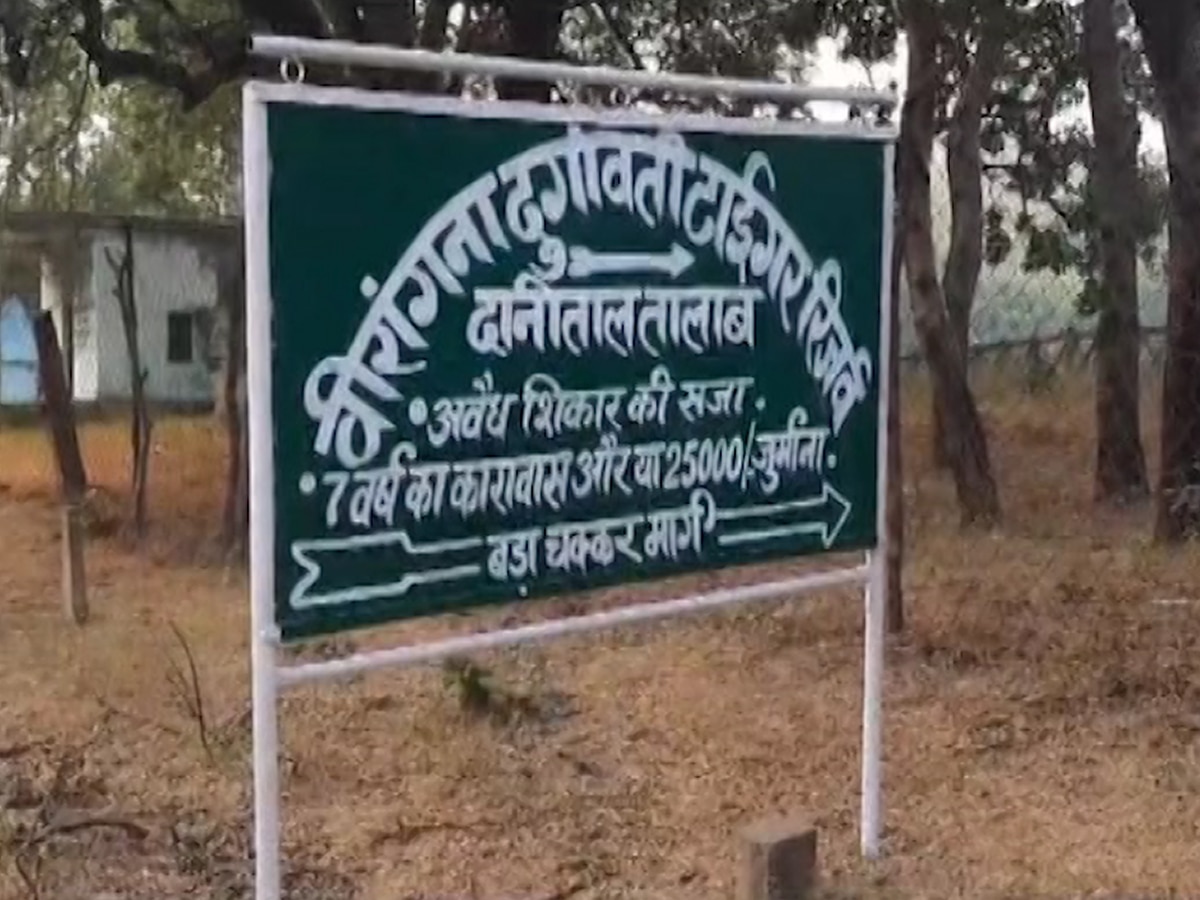 Number of tigers increased in india largest tiger reserve Rani ...