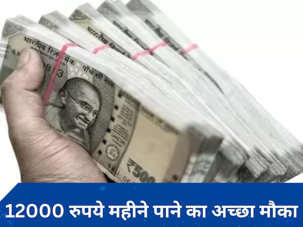 LIC Saral Pension Special Scheme Rs 12000 every month heres plan details | LIC Special Scheme ...
