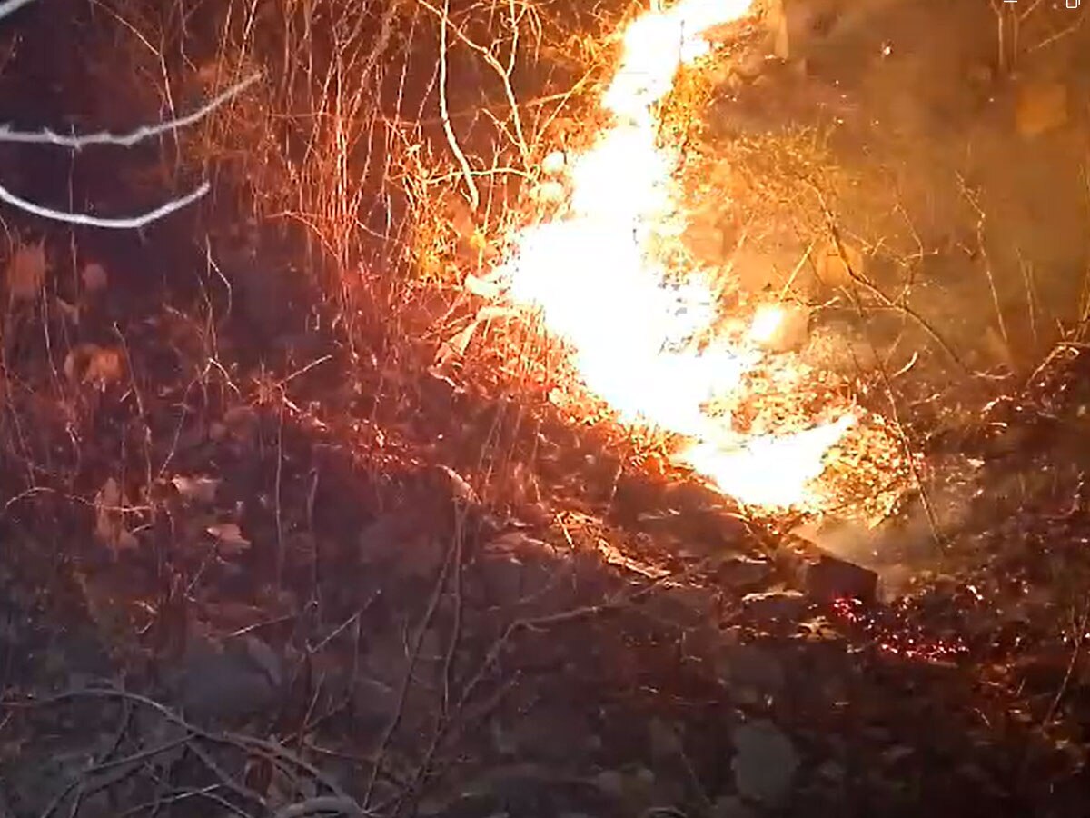 Baran News massive fire broke out in Shahabad forest adjacent to Kuno ...