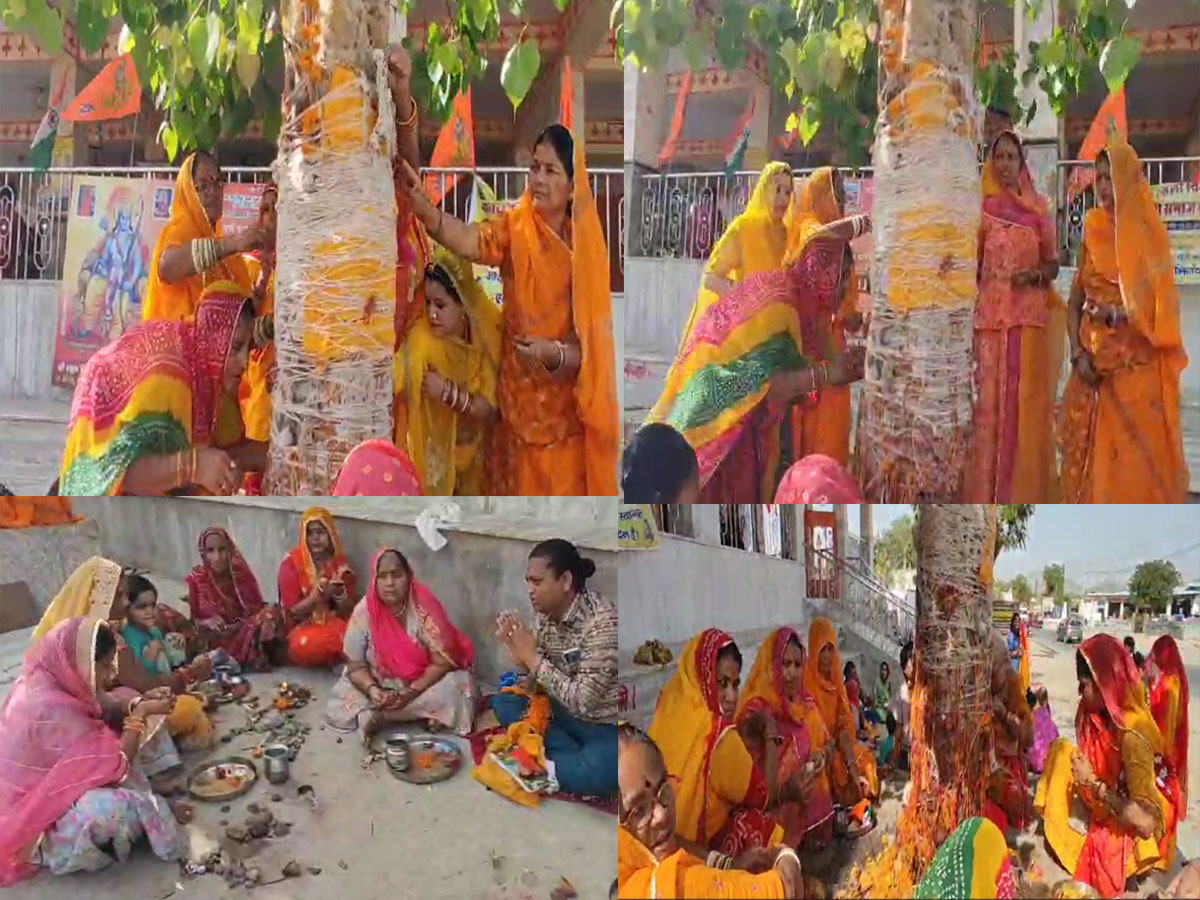 Sheetla Saptami 2024 In Beawar Rajasthan women celebrated festival of ...