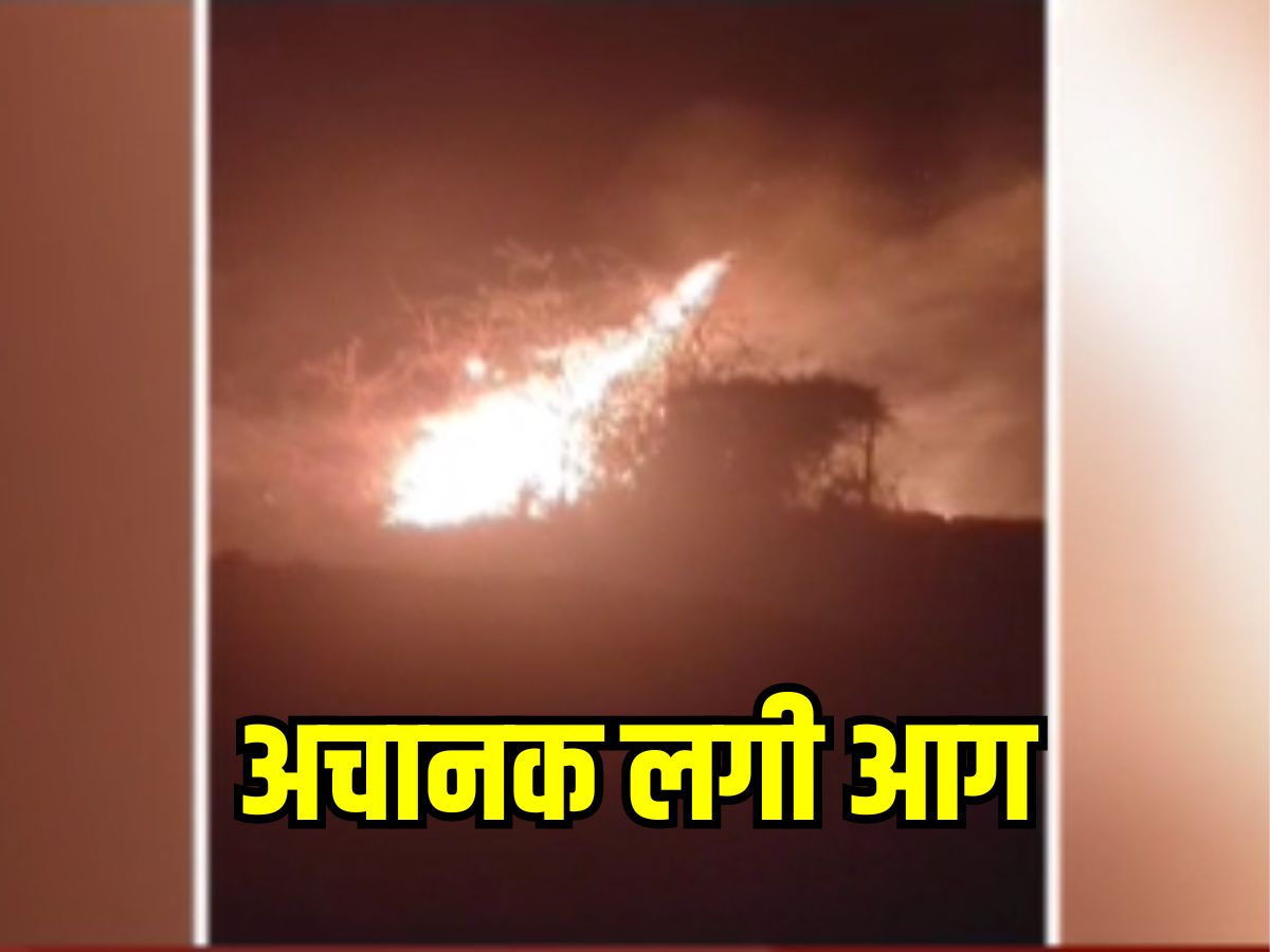 Rajasthan Breaking News massive fire broke out in fields due to unknown ...