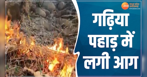 Fire broke out in Gadhiya mountain of Kanker flames reached far anti ...