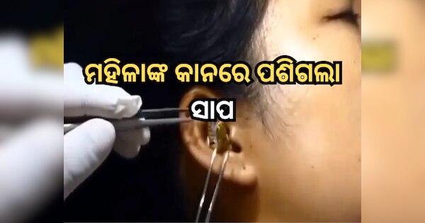 Snake in Women Ear Video: ଶୋଇଥିବା ସମୟରେ ଜଣେ ମହିଳାଙ୍କ କାନରେ ପଶିଗଲା ସାପ ...