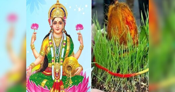 chaitra navratri 2024 jaware importance barley color sown during ...