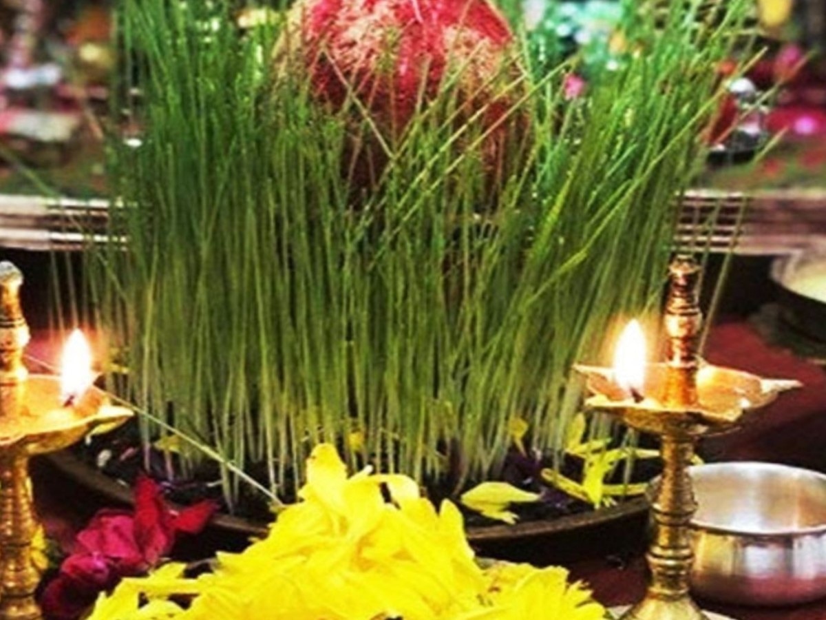 chaitra navratri 2024 jaware importance barley color sown during ...