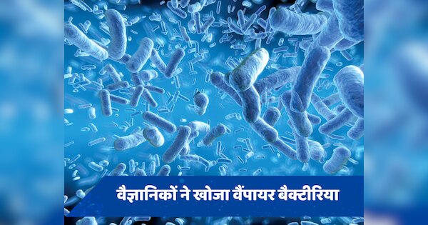 Scientists discovers deadly vampire bacteria that has thirst for human ...