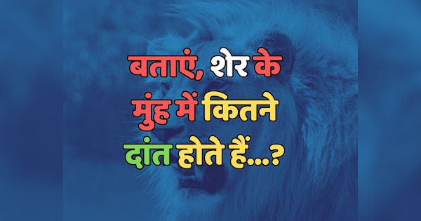 Trending Quiz शेर के मुंह में कितने दांत होते हैं Trending Quiz