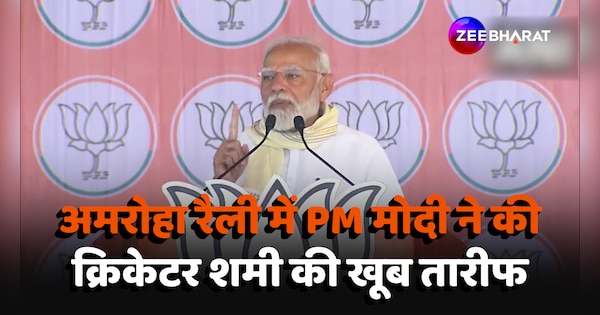 Loksabha Election 2024 pm modi praised Cricketer md shami during Amroha ...
