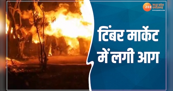 MP News Timber Market Fire in bhoapl chaos ensued watch video | Fire ...