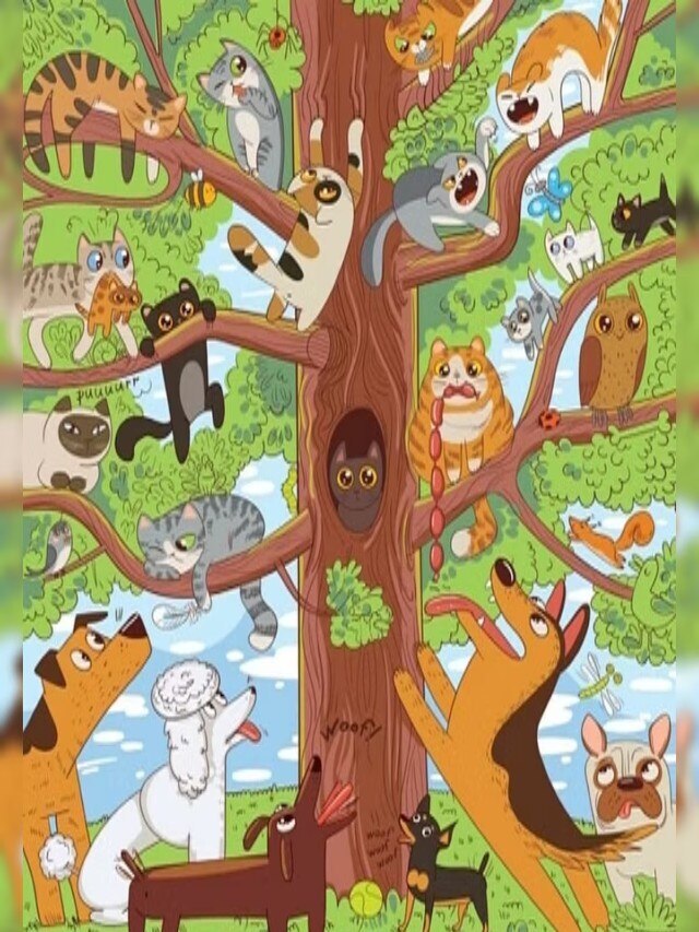 Optical Illusion khojo to jane rat is hidden in this Optical Illusion ...