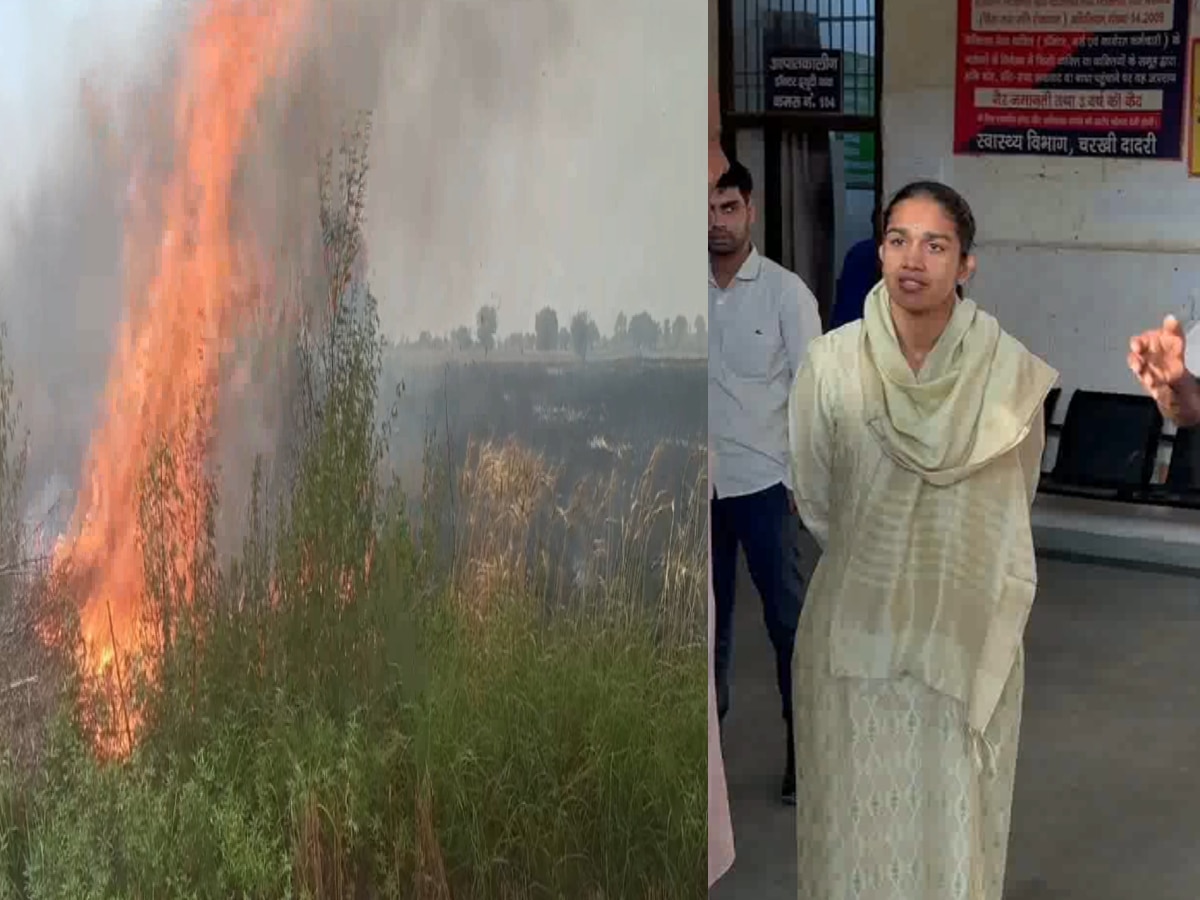 गेहूं के खेत में लगी आग को बुझाने में जल गया किसान, हुई दर्दनाक मौत
