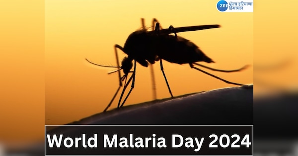 World Malaria Day 2024 theme history importance and why this day is celebrated | World Malaria ...