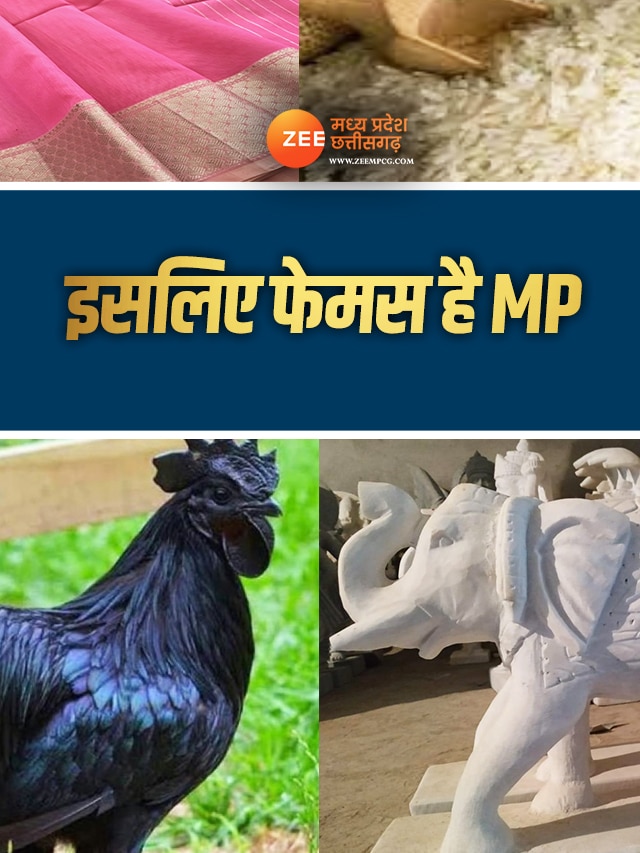 MP Famous item Chanderi Saree Leather Toys Ratlami Sev marble art and ...