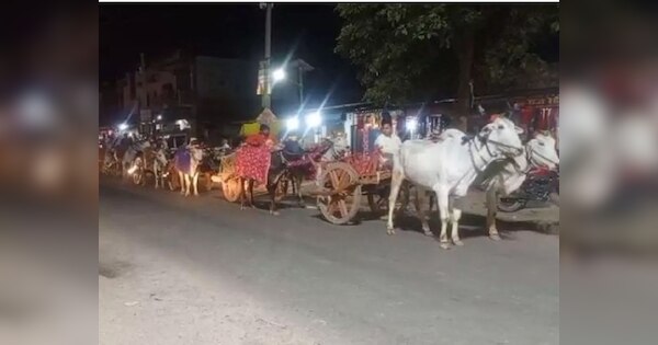 Rae Bareli brides farewell took place on bullock cart people were ...