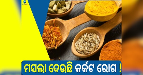 Cancer Causing Masala: EU ପାଇଲା ବଡ଼ ପ୍ରମାଣ, କ୍ୟାନସର ବଢାଉଛି ଏହି ୫୨୭ ...
