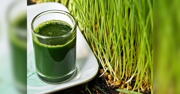 What is the use of Doob Ghas and What are the benefits of its juice ...