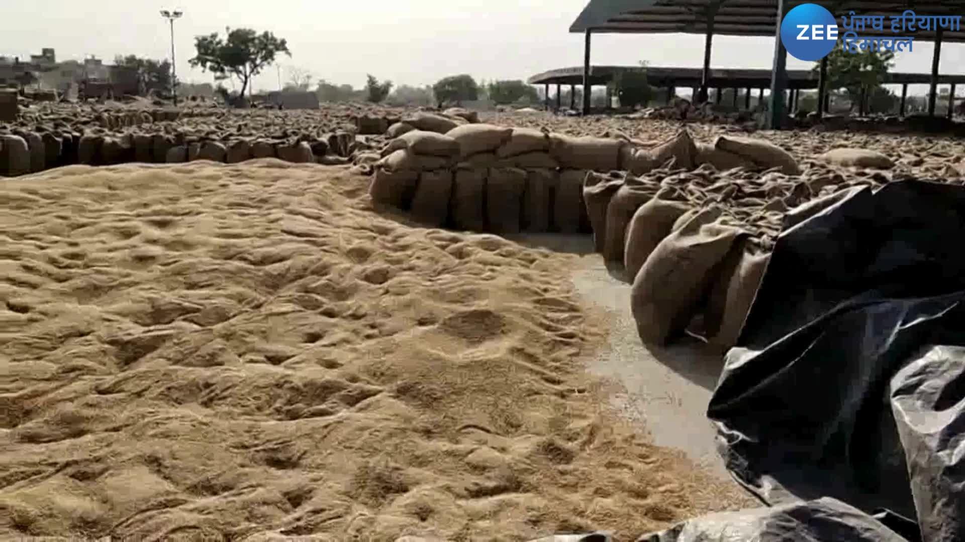 Barnala grain market lack of lifting in the Anaaj Mandi farmers tensed ...