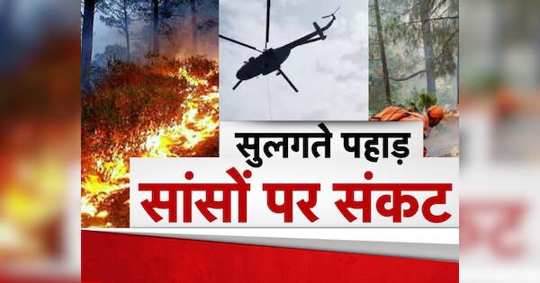 nainital forest fire rescue operation latest updates | Nainital Fire ...
