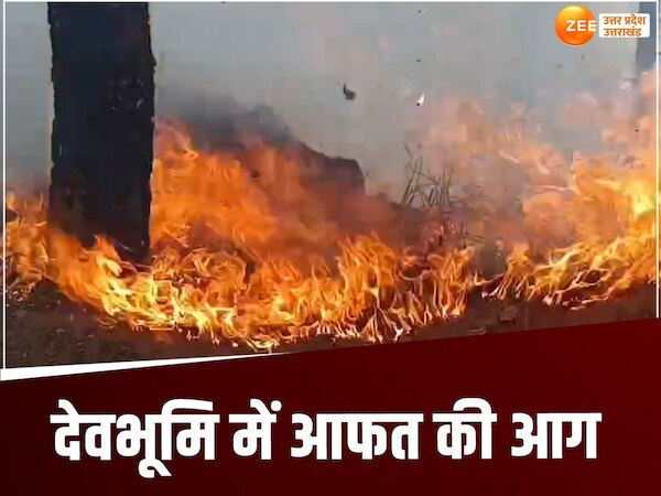 nainital frores fire becomes severe in uttarakhand army called for help ...