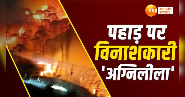 almora fire brigade extinguished the forest fire that broke out near ...