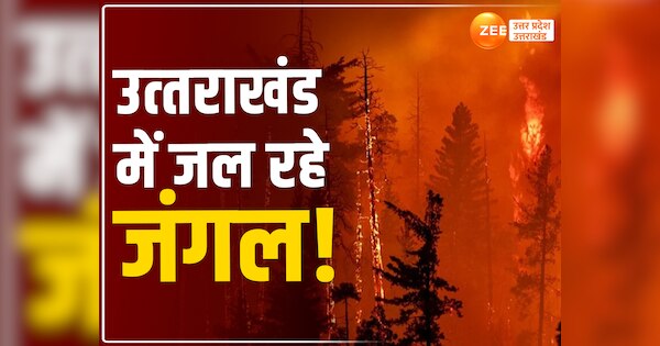 Uttarakhand Almora Nainital Paudi Garhwal forest fire NDRF deploy for ...