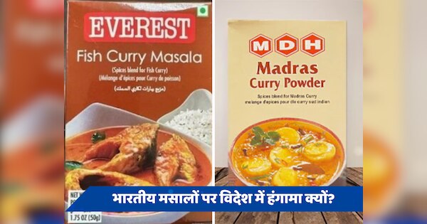 mdh and everest masala row why fda is gathering information information ...