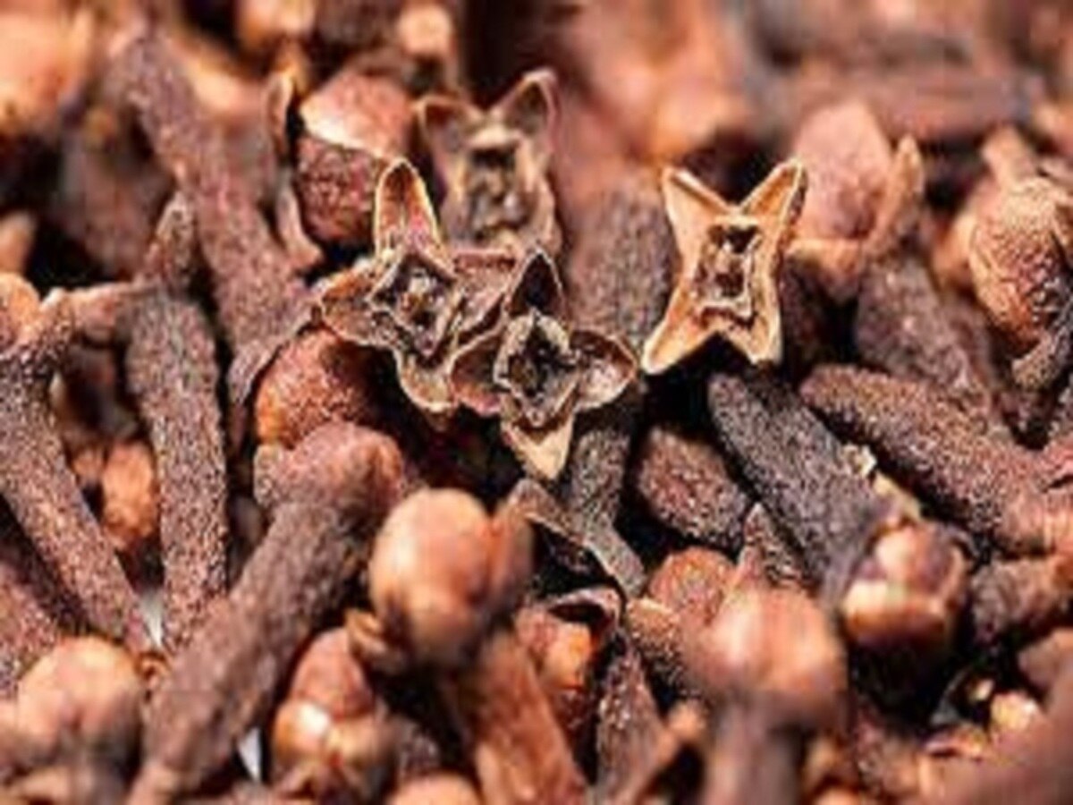 Clove relieves cough and joint pain in a moment know method of remedy ...