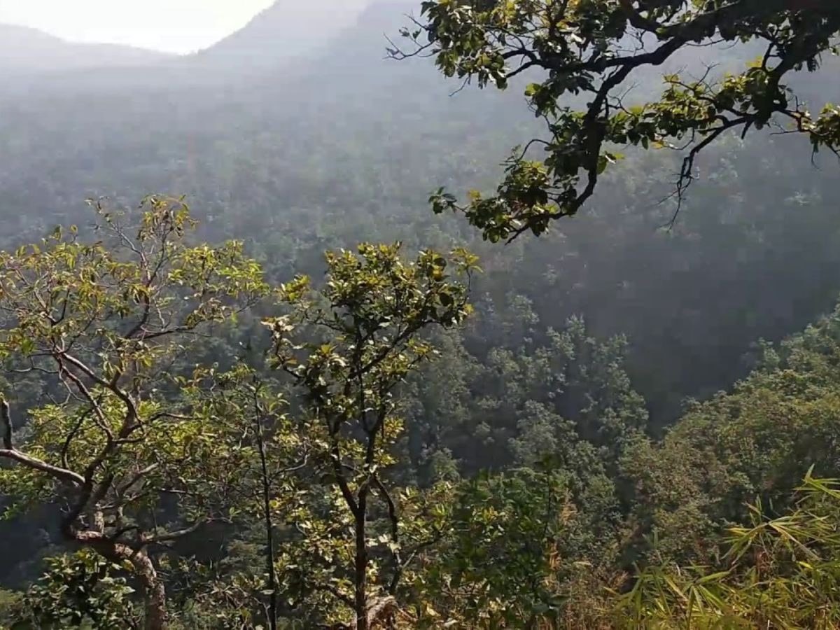 Centuries old temple of Mother Goddess is situated in Chaiturgarh know ...