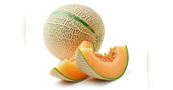 Muskmelon seeds can help you in these 5 ways muskmelon seeds benefits ...