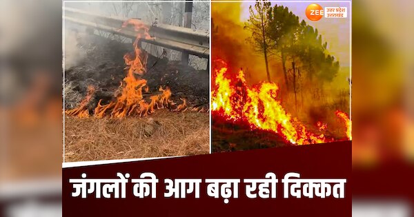 uttarakhand forest fire creates problem in chardham yatra as kedarnath ...