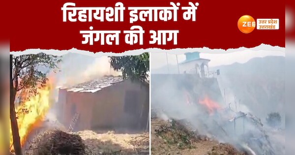 uttarakhand forest fires fan out to populated areas in chakrata vikas ...