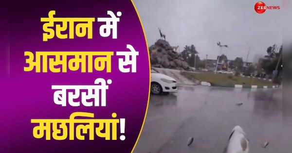 alive fish rain in iran from sky give shock to internet users machli ki ...